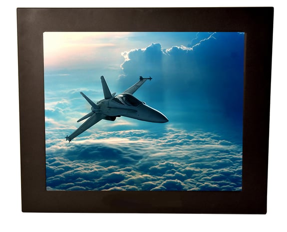 19" Rugged Industrial NEMA 4 Panel Mount Display Model: CFP19P1-1B2-00D