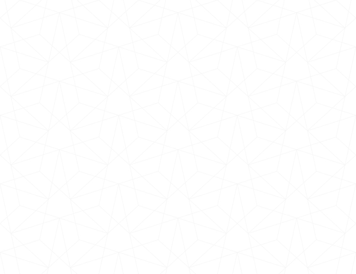 Who We Are - Elbit America