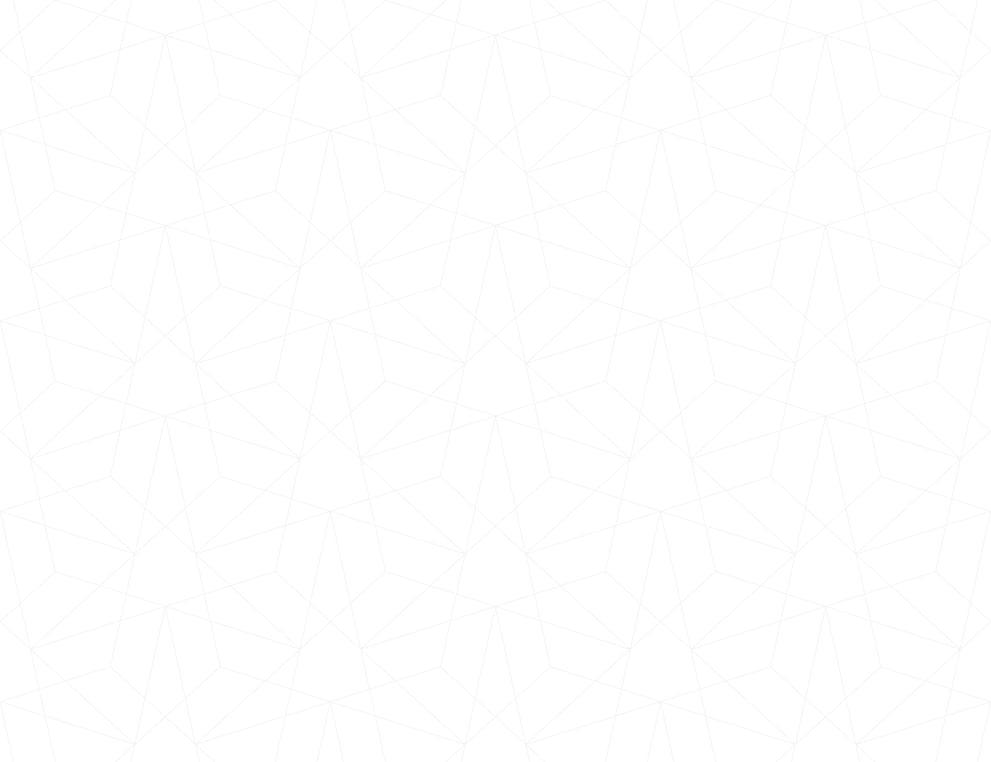 Border & Force Protection - Elbit America